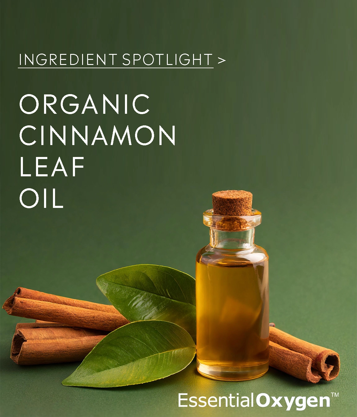 The Science Behind Our Organic Cinnamon Leaf Oil | Essential Oxygen