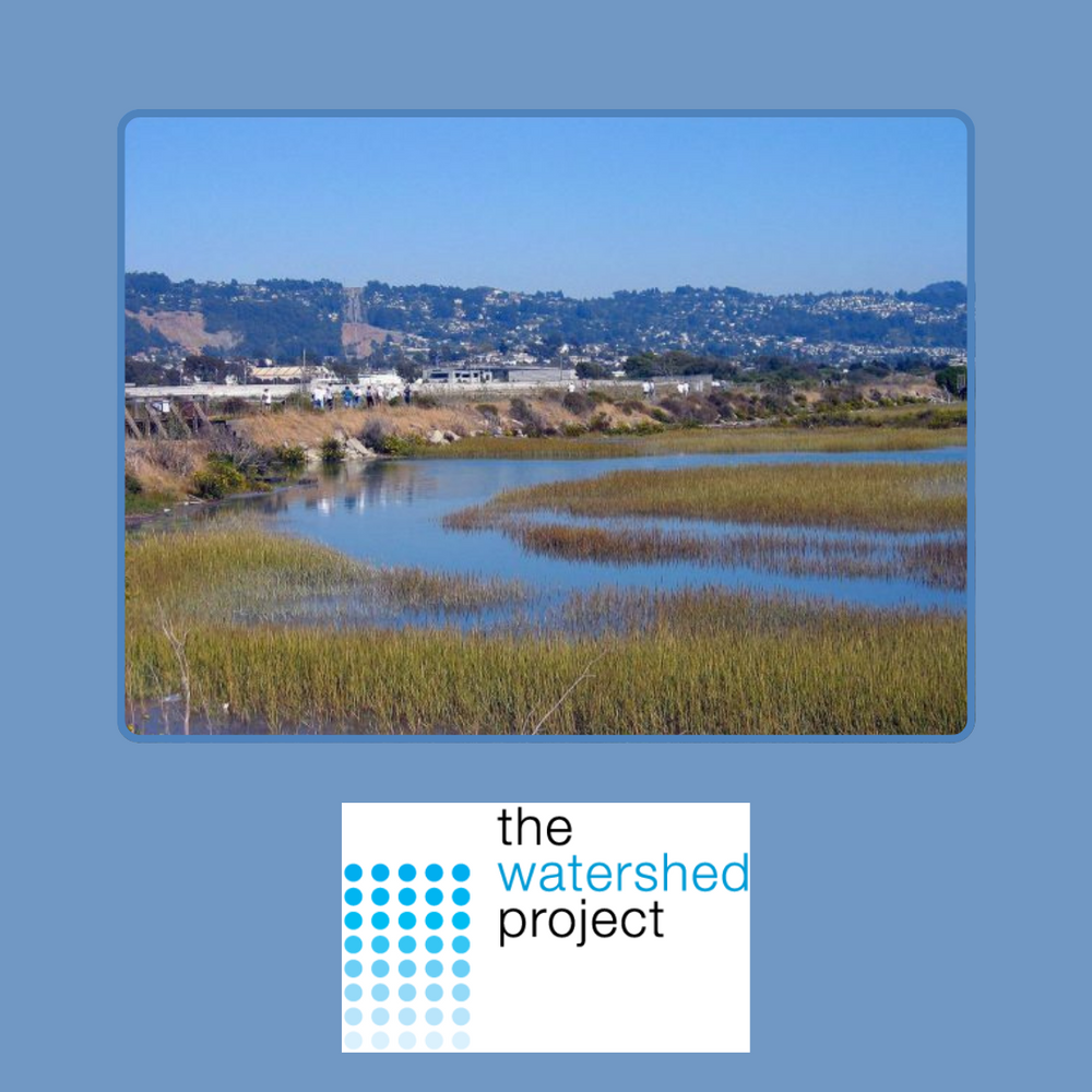 The Watershed Project | Essential Oxygen Planet Positive Initiatives ...