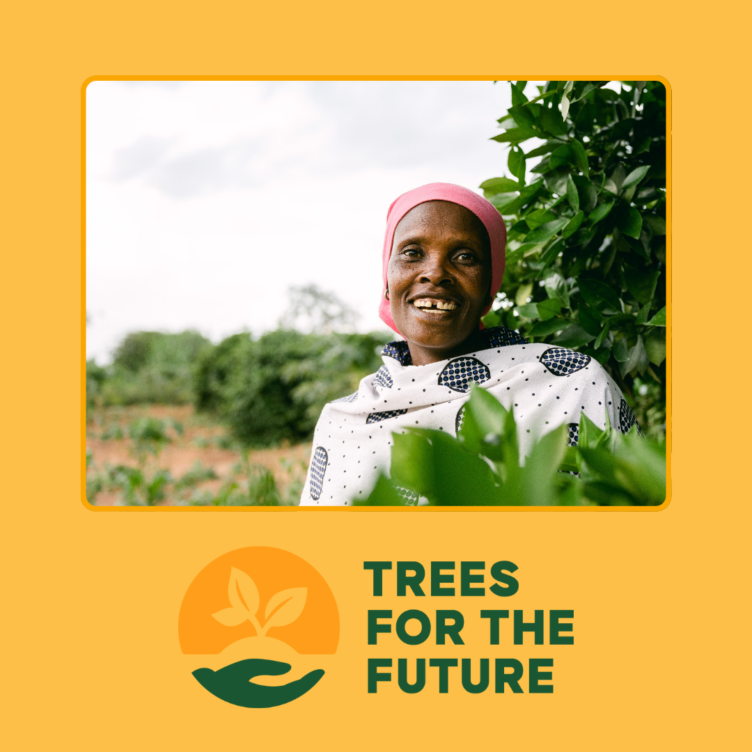 Trees For The Future | Essential Oxygen Planet Positive Initiatives ...