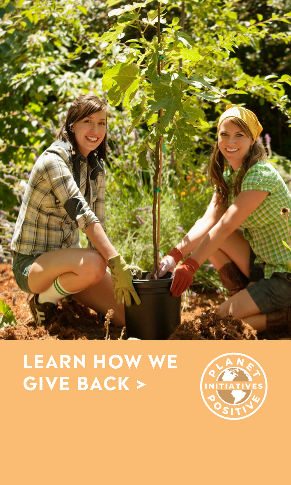 RDA Toothpaste Abrasiveness Chart | Essential Oxygen Organic Low ...