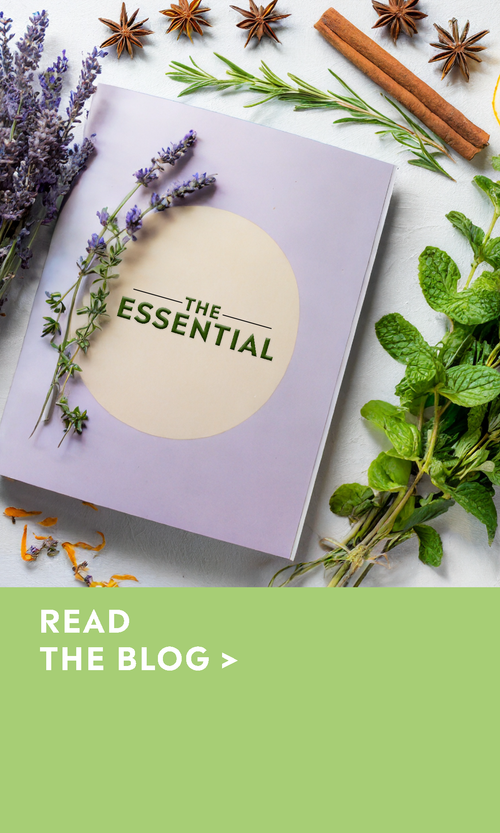 RDA Toothpaste Abrasiveness Chart | Essential Oxygen Organic Low ...